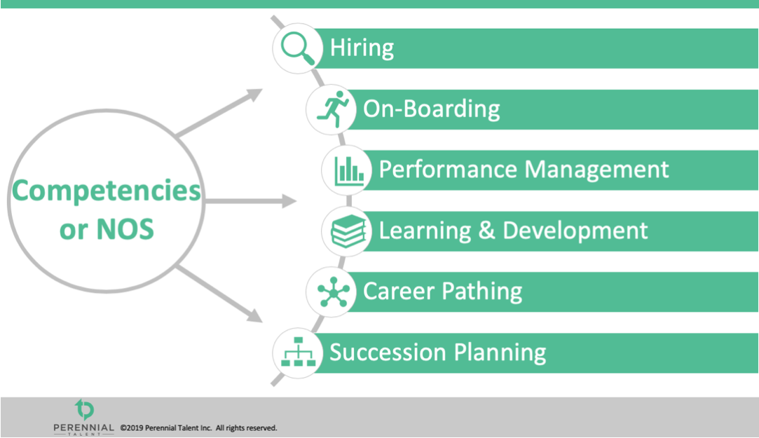 Using Competencies as a Talent Management Tool - Perennial Talent